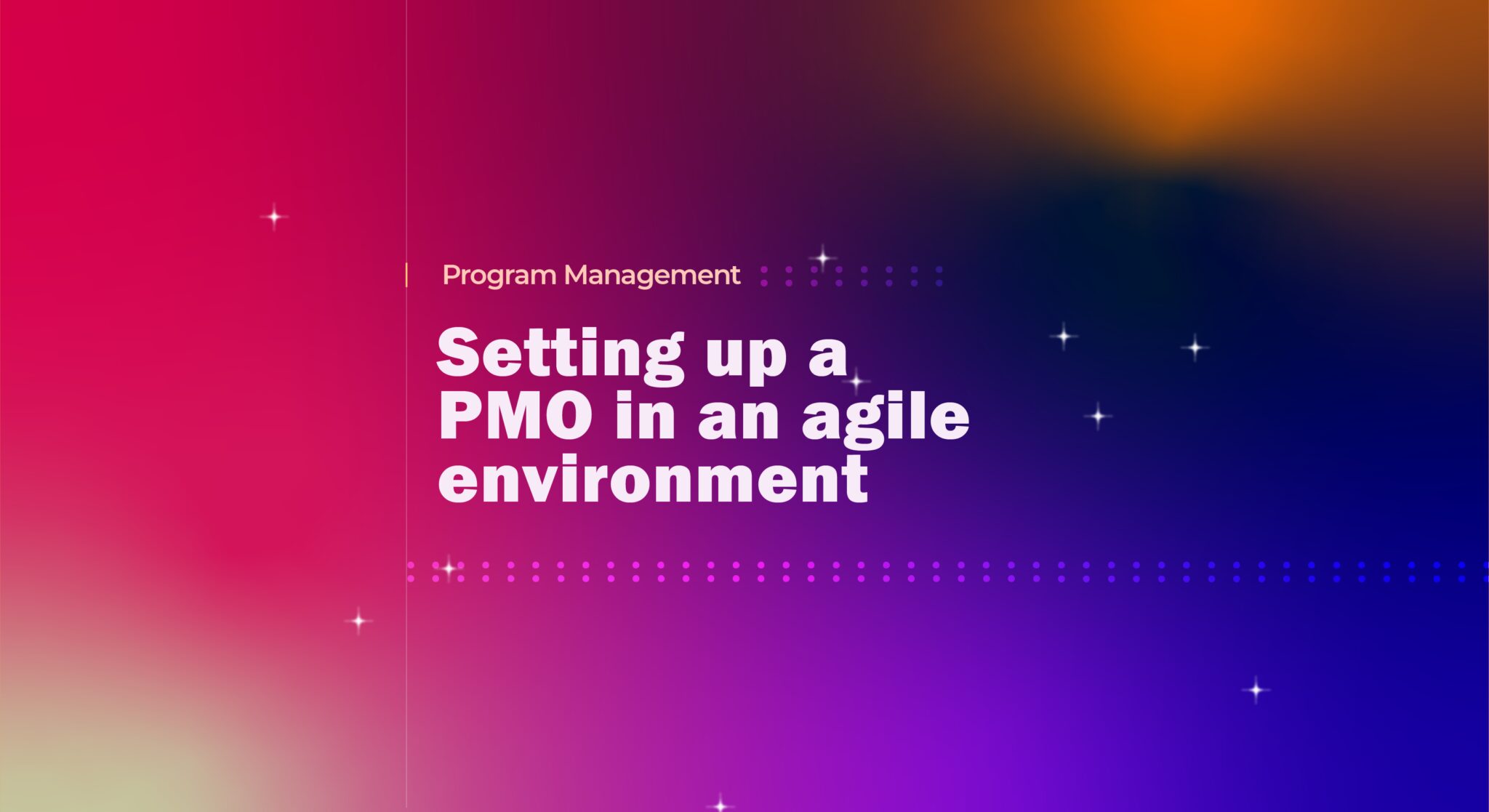 Setting up a Project Management Office in an Agile Environment